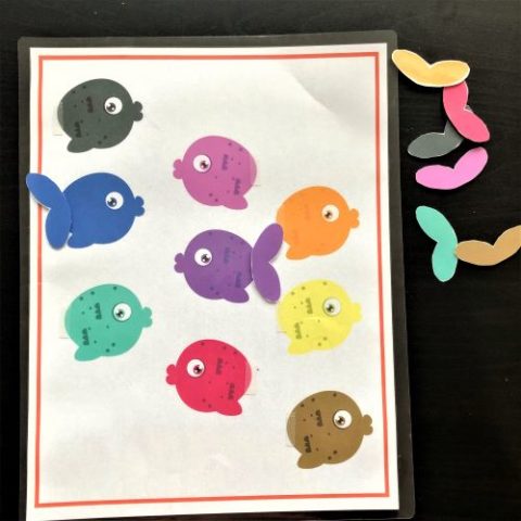 Color (Fish) Matching - Puzzle | Montessori Activity (9 Colors) - LifeLoLo
