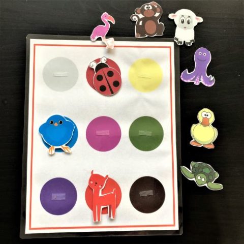 Color (Animals) Matching - Puzzle | Montessori Activity - LifeLoLo