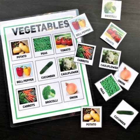 Vegetables Matching - Puzzle | Montessori Activity (9 Vegetables ...