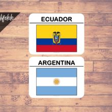 South America FLAGS Flash Cards | Geography | Montessori | Homeschool ...