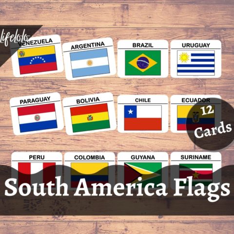 Colors FRENCH Flash Cards | Bilingual Homeschool Printable | French ...