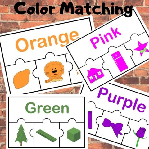 Color Matching Jigsaw Puzzle – Teach Colors | Kid Activity - LifeLoLo