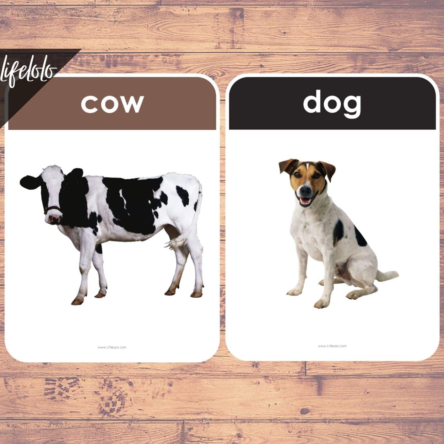FARM ANIMALS (Real Pictures) - 27 Flash Cards | English Printable ... FARM ANIMALS (Real Pictures) - 27 Flash Cards | English Printable ...