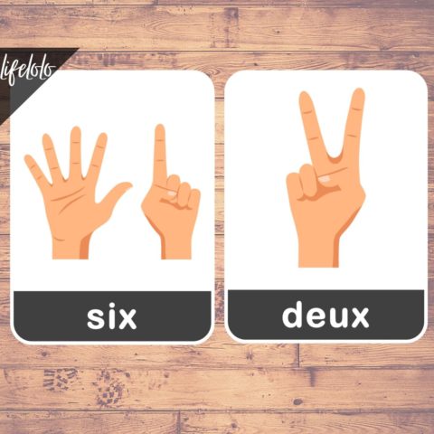FINGER COUNTING | FRENCH Counting | 11 Counting Flash Cards | French ...