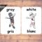 Colors FRENCH Flash Cards | Bilingual Homeschool Printable | French ...