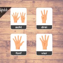 FINGER COUNTING | GERMAN Counting | 11 Counting Flash Cards | German ...