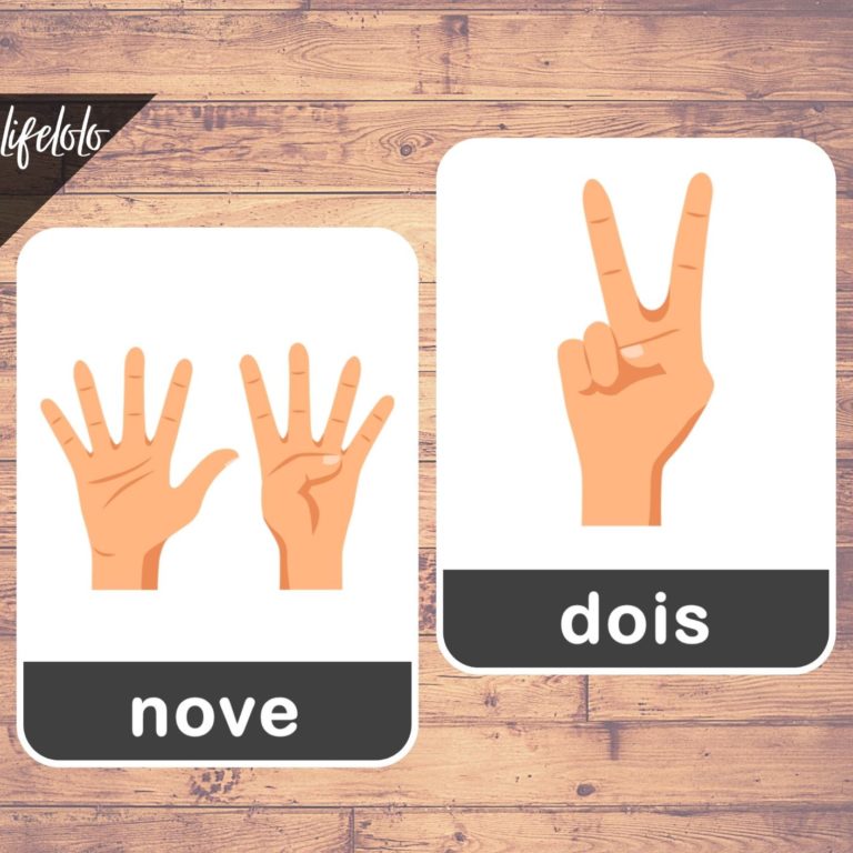 FINGER COUNTING | PORTUGUESE Counting | 11 Counting Flash Cards ... FINGER COUNTING | PORTUGUESE Counting | 11 Counting Flash Cards ...