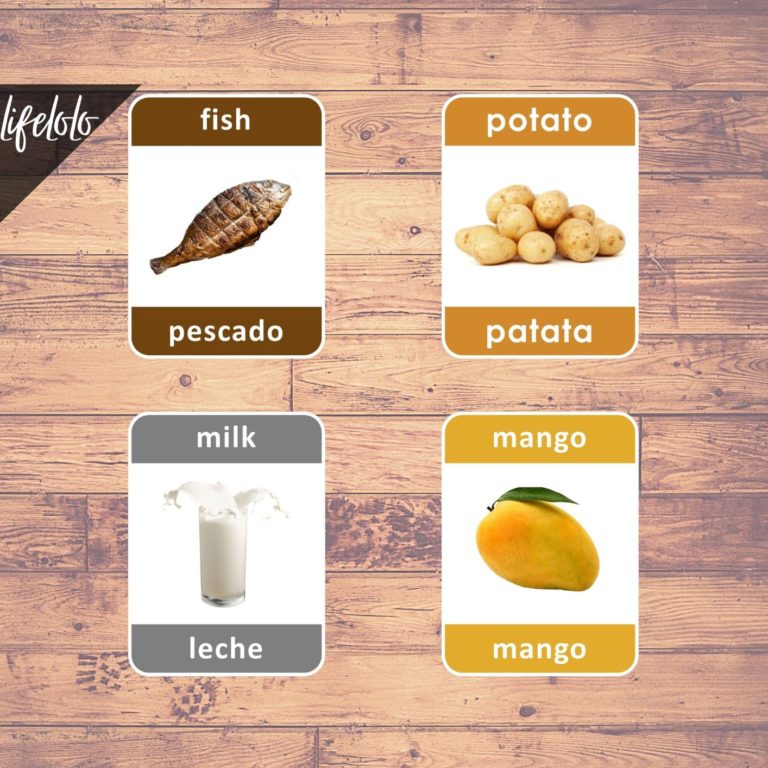 First Foods SPANISH Flash Cards | Bilingual Homeschool Printable ...