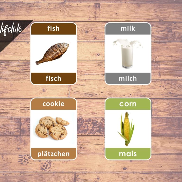 First Foods GERMAN Flash Cards | Bilingual Homeschool Printable ...