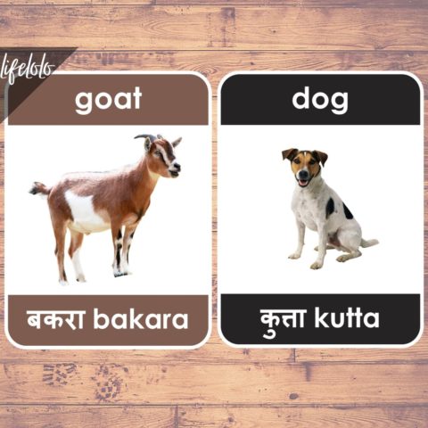 Farm Animals HINDI Flash Cards | Bilingual Homeschool Printable | Hindi ...