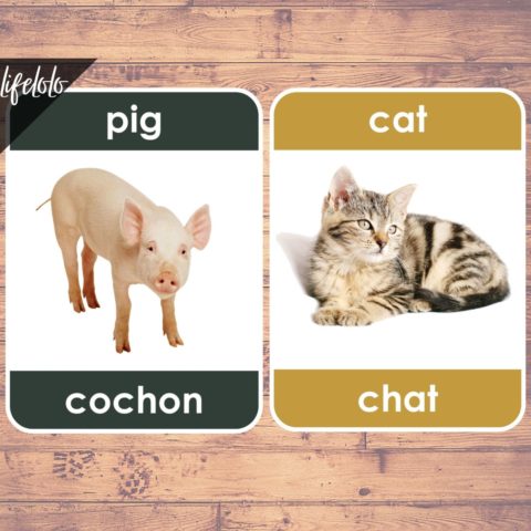 Farm Animals FRENCH Flash Cards | Bilingual Homeschool Printable ...