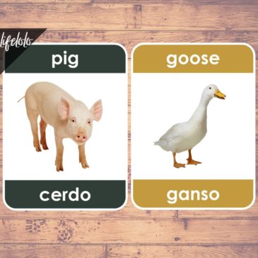 Farm Animals SPANISH Flash Cards | Bilingual Homeschool Printable ...